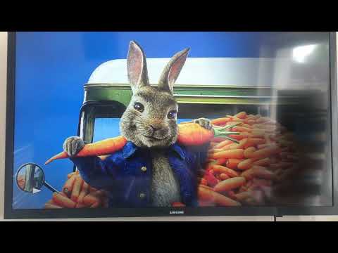 Opening To Peter Rabbit 2 2021 UK Blu-Ray - YouTube