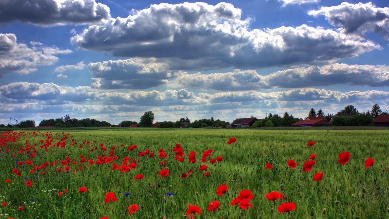 Soldier's Song Arthur Cormack - YouTube