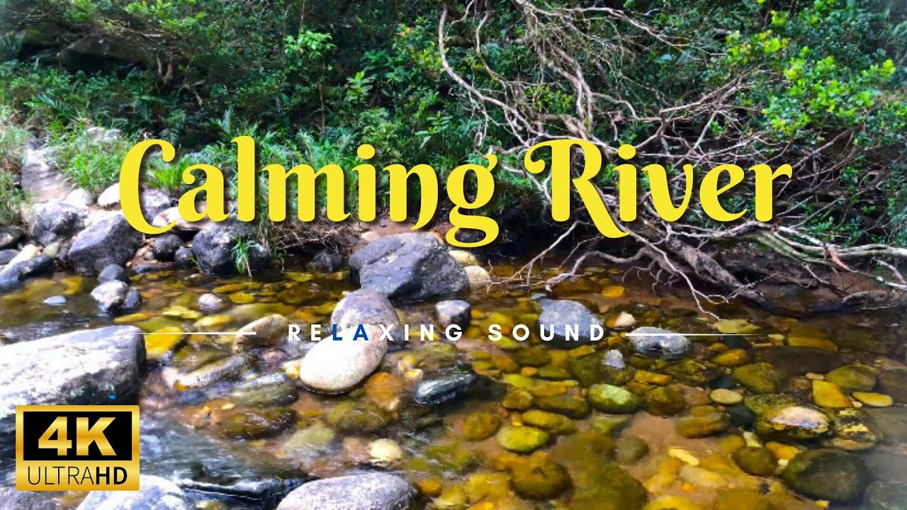 Calming River Sounds | Relaxing Music for Stress ,Sleep And Meditation ...