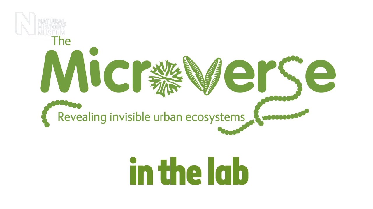 The Microverse in the lab | Natural History Museum - YouTube