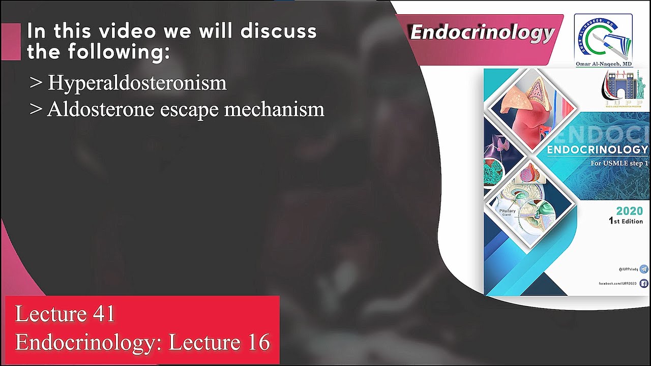 Hyperaldosteronism || Aldosterone escape mechanism - YouTube
