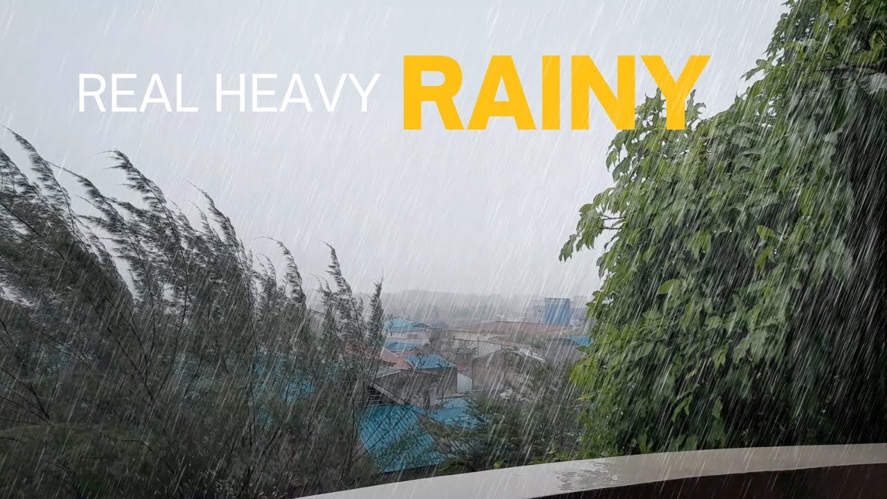 Real Rain, Drizzle. for Relax and Sleepy. Sounds Nature. - YouTube