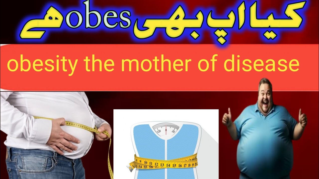 Obesity/How to measure obesity/BMI - YouTube