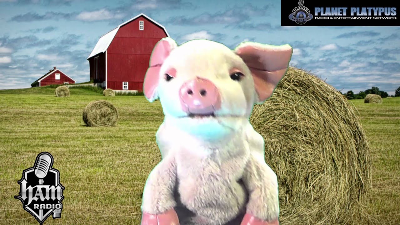 Piggy Mcpiggy goes on Ham Radio - YouTube