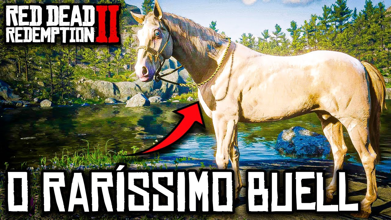 COMO E QUANDO PEGAR O WARMBLOOD HOLANDÊS CREMELO DOURADO - RED DEAD ...