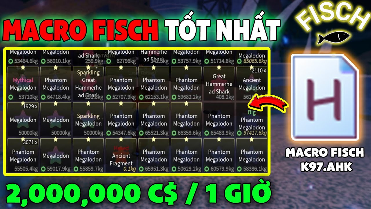 *MACRO TỐT NHẤT* Bản FISCH MACRO Tự Động AFK ROBLOX! Cách Fix Các Lỗi ...
