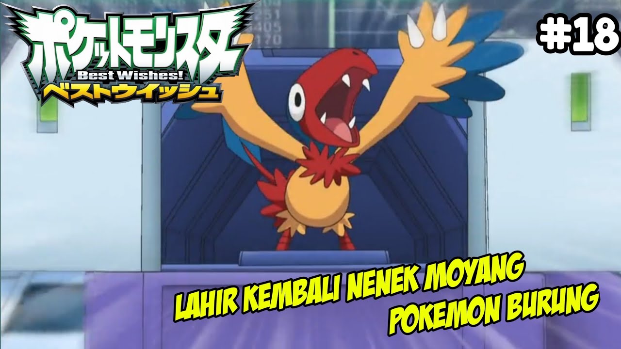 LAHIR KEMBALI POKEMON PURBA NENEK MOYANG POKEMON BURUNG|| Alur Cerita ...