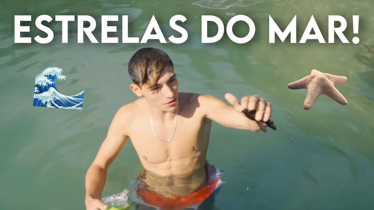 Sofya E Alex Procuram Estrelas Do Mar No Acampamento Do Brasil! (LEGENDADO PT-BR) - YouTube