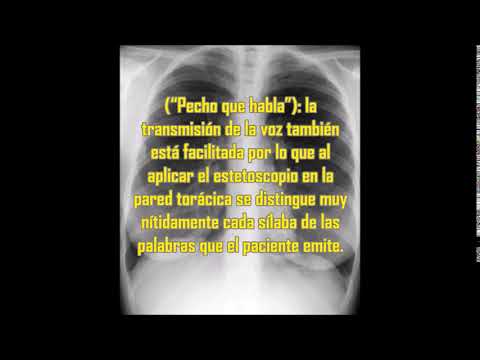 BRONCOFONIA - YouTube