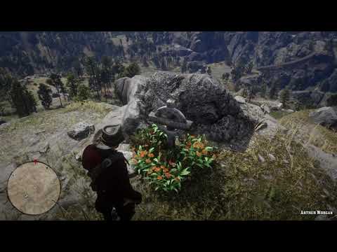 Visiting Arthur Morgan's grave after the story - RDR2 - YouTube