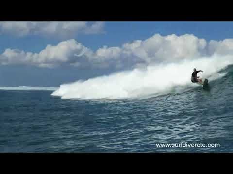 Surfing Rote Island Indonesia - YouTube