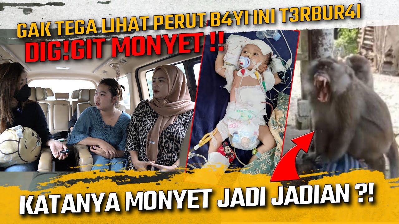 DIGIGIT MONYET !! KONDISI BAYI INI SAMPAI KRITIS !! - YouTube