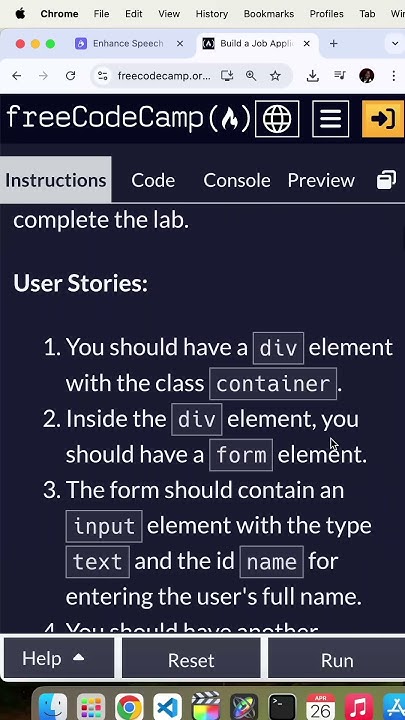 freeCodeCamp Full Stack Dev cert Job Application Form walkthrough - YouTube