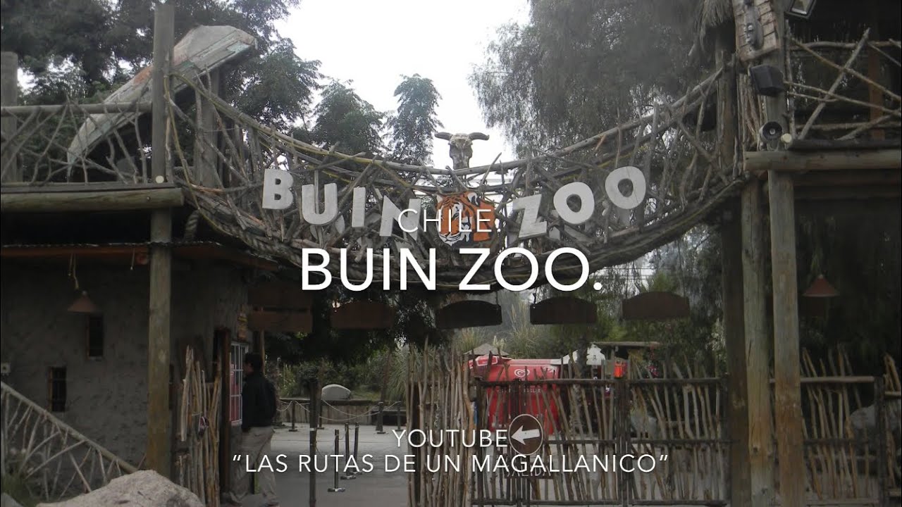 Buin Zoo - Chile - YouTube