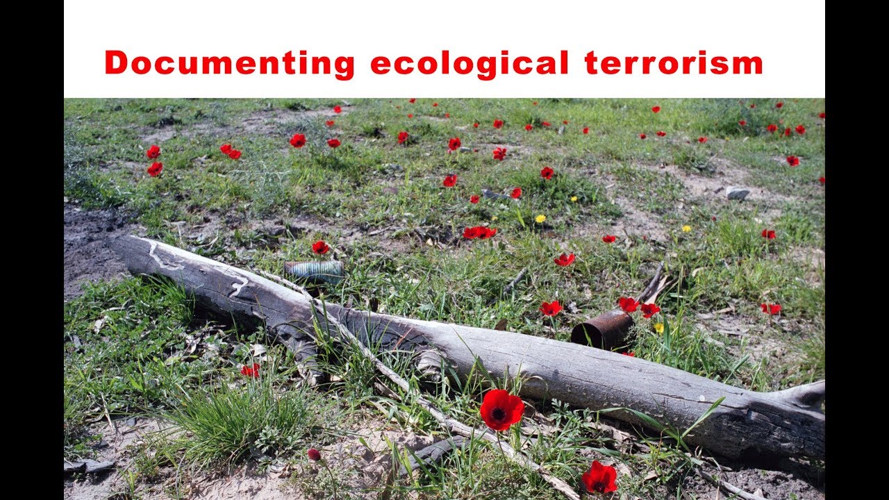 Documenting ecological terrorism - YouTube