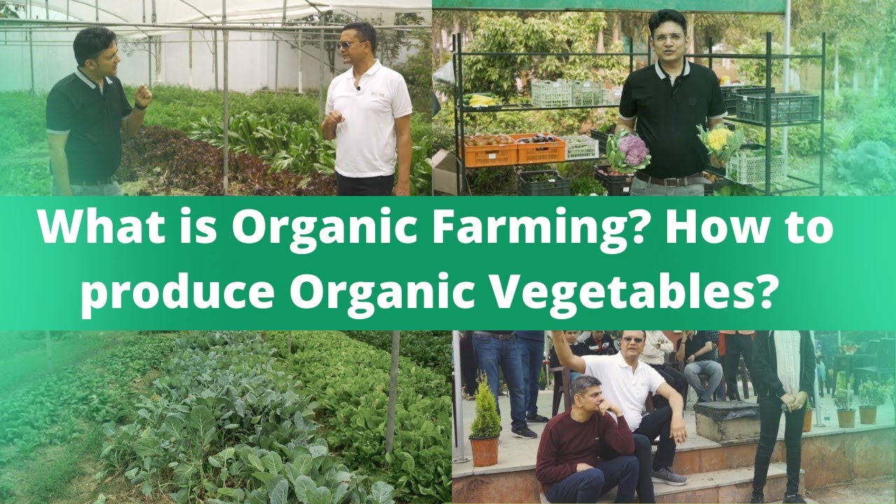 What is Organic Farming? How to produce Organic Vegetables? # ...