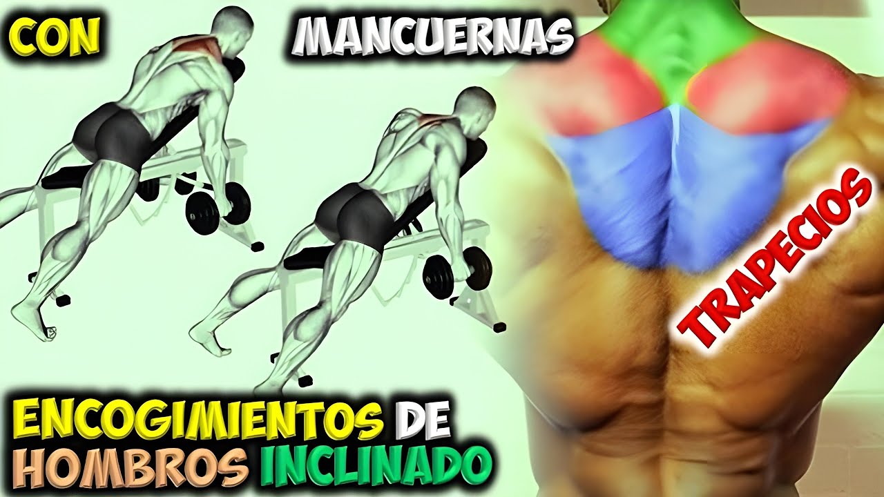 EJERCICIO Para TRAPECIOS 👉 ENCOGIMIENTOS De HOMBROS, En BANCO INCLINADO ...