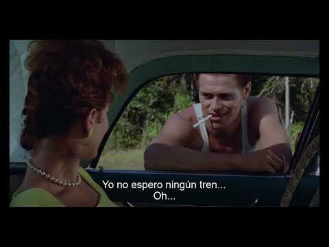 The Loveless (1981) - Película subtitulada en español