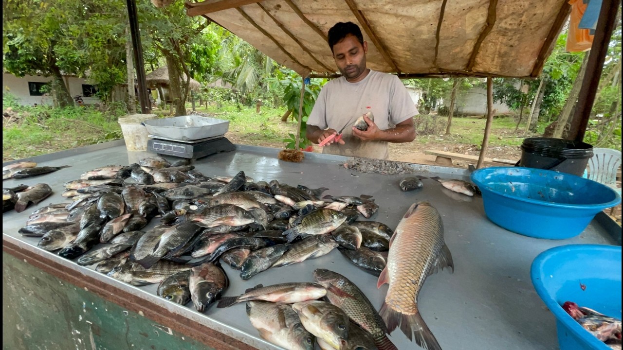 Watch How African Fishermen Process MASSIVE Catfish! - YouTube