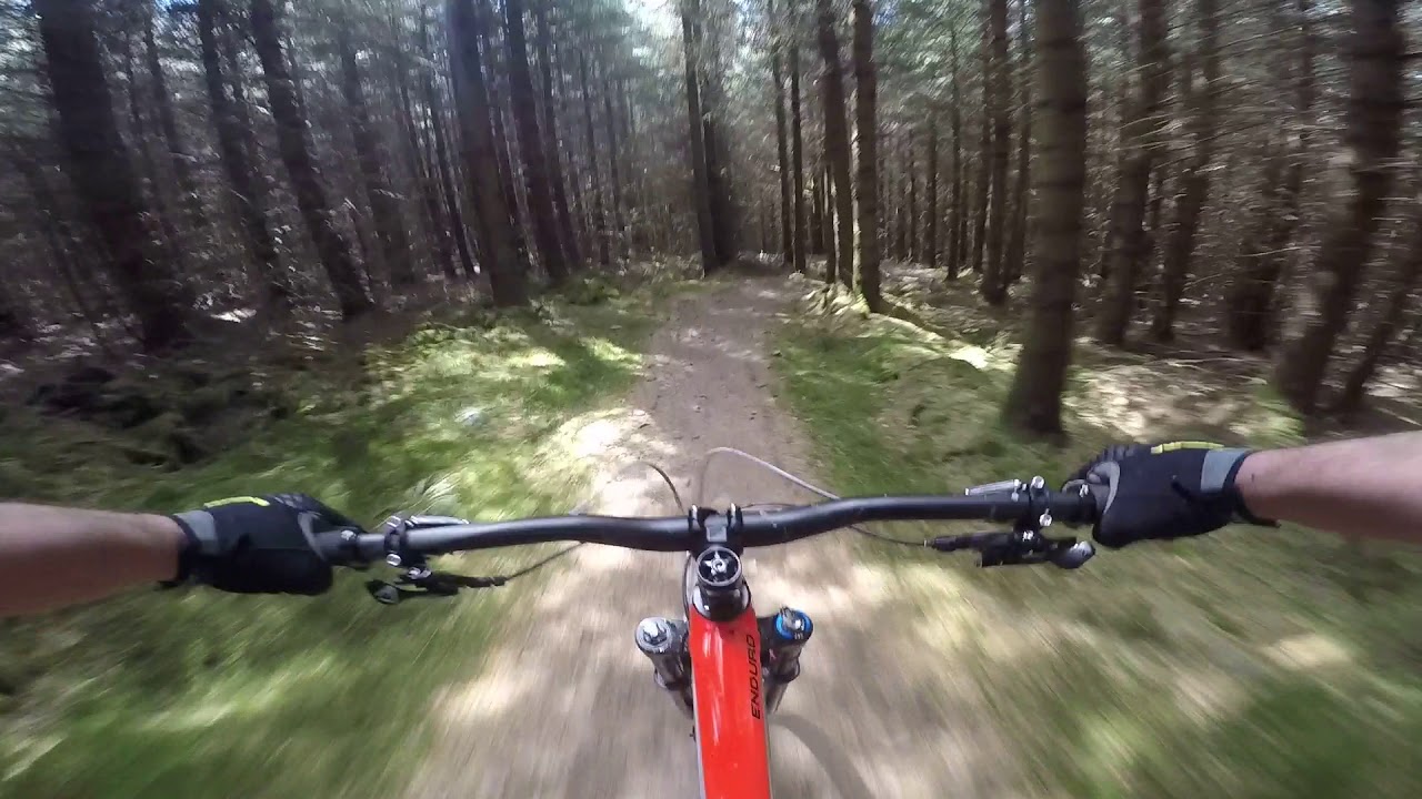 Glentress Boundary Trail, Shane McGowan & Leithan Door 16/05/18 - YouTube