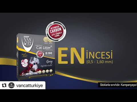 Aziz Güngör'in sesinden: VANCAT Kedi Kumu Kampanyası