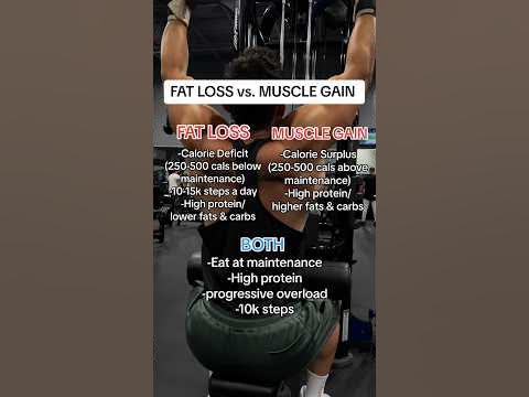 Fat Loss vs Muscle Gain #fitness #shorts - YouTube
