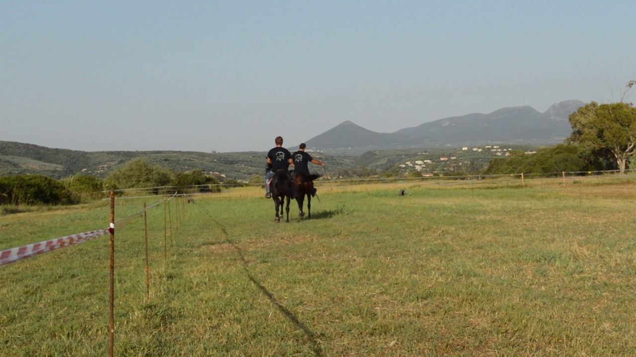 ΠΡΩΤΗ ΙΠΠΙΚΗ ΣΥΝΑΝΤΗΣΗ ΣΤΗΝ ΓΙΑΛΟΒΑ ΤΗΣ ΠΥΛΟΥ - YouTube