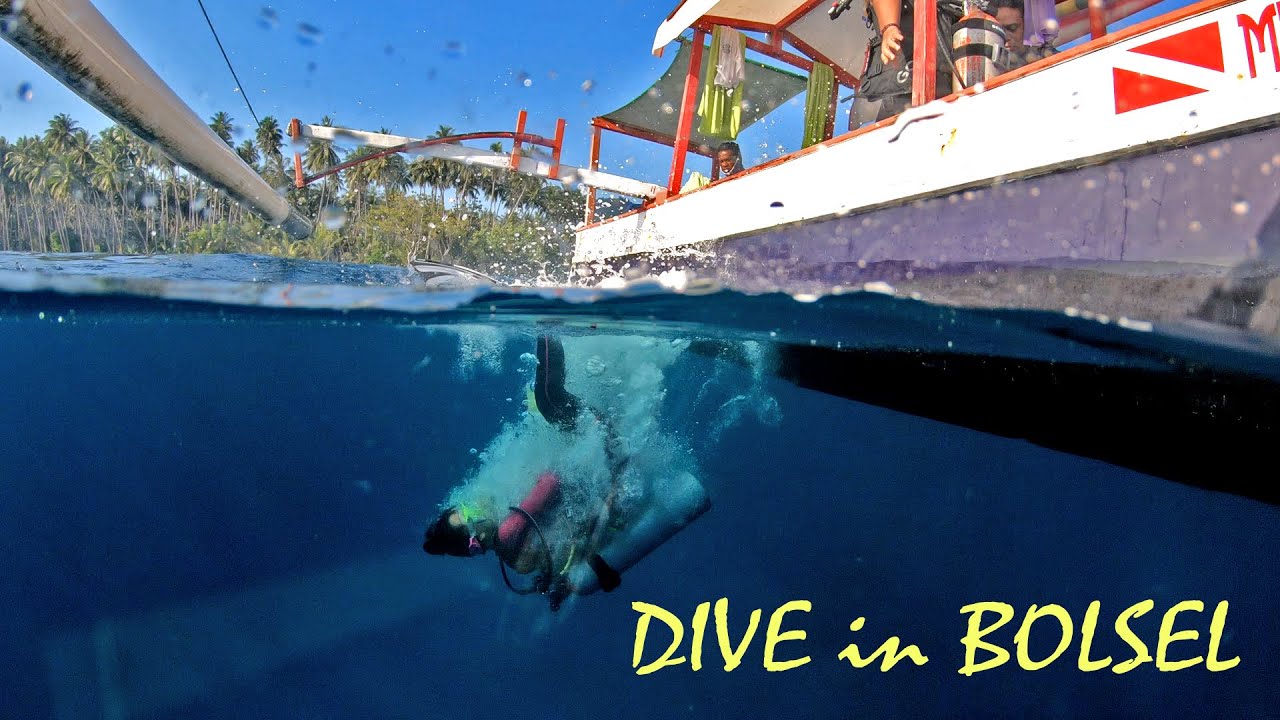 DIVE in BOLSEL [Sulawesi, Indonesia] - YouTube