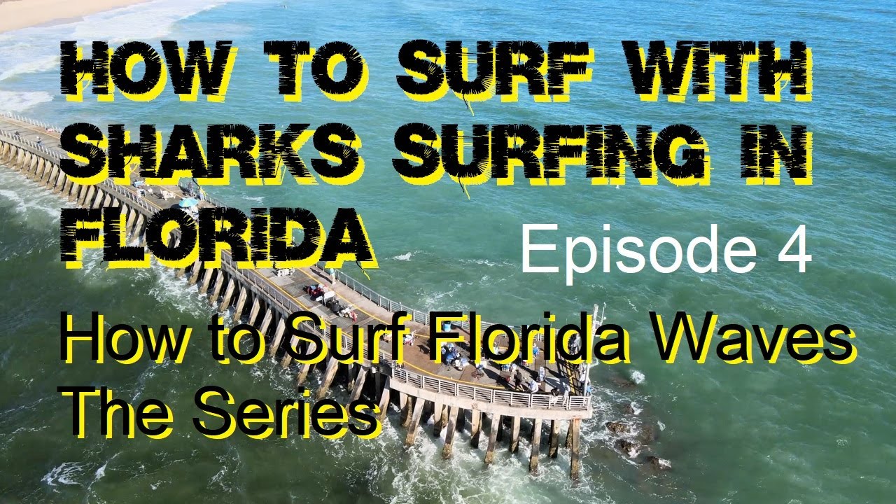How to Surf Florida Waves, Episode 4, What About All Those Sharks ...
