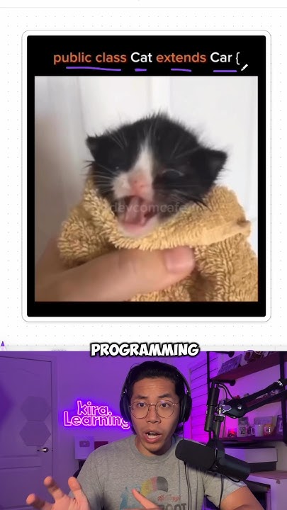Cat Or Car 👀😂 Softwareengineering Computerscience Coding Stem Youtube