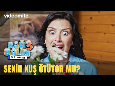Senin Kuşun Hala Ötüyor Mu? - Sağ Salim 3: Ölü ya da Diri