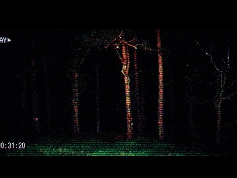 Motion detected (Jurassic park vhs tape horror) - YouTube