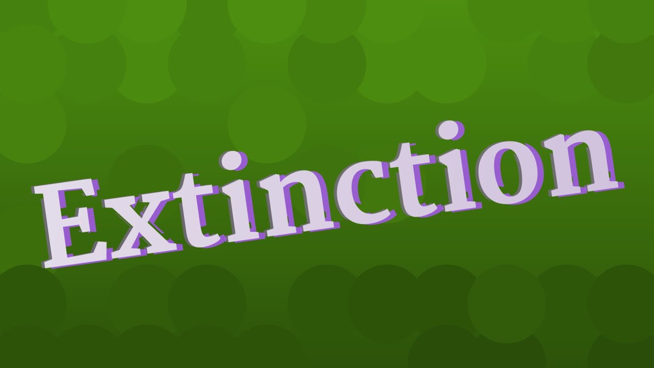 EXTINCTION pronunciation • How to pronounce EXTINCTION - YouTube
