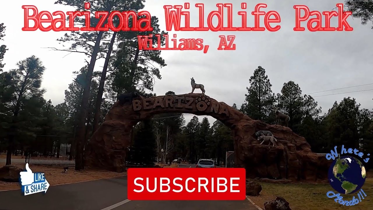 Bearizona Wildlife Park ( Williams Arizona ) | Travel Vlog - YouTube