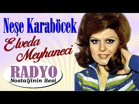 Neşe Karaböcek - Elveda Meyhaneci (1972)