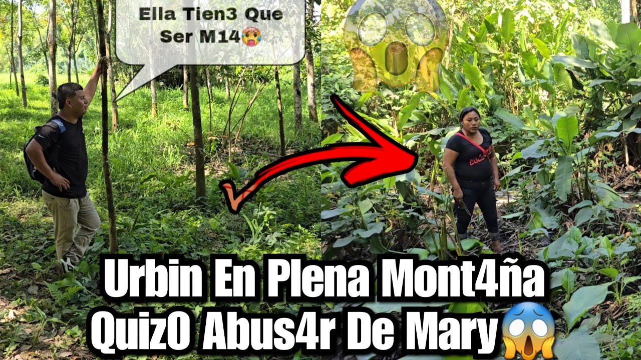 Santo Dios,Urbin A Solas !ntent4 V10l4r A Mary😡Hoy Si Lo Encontr4mos En ...