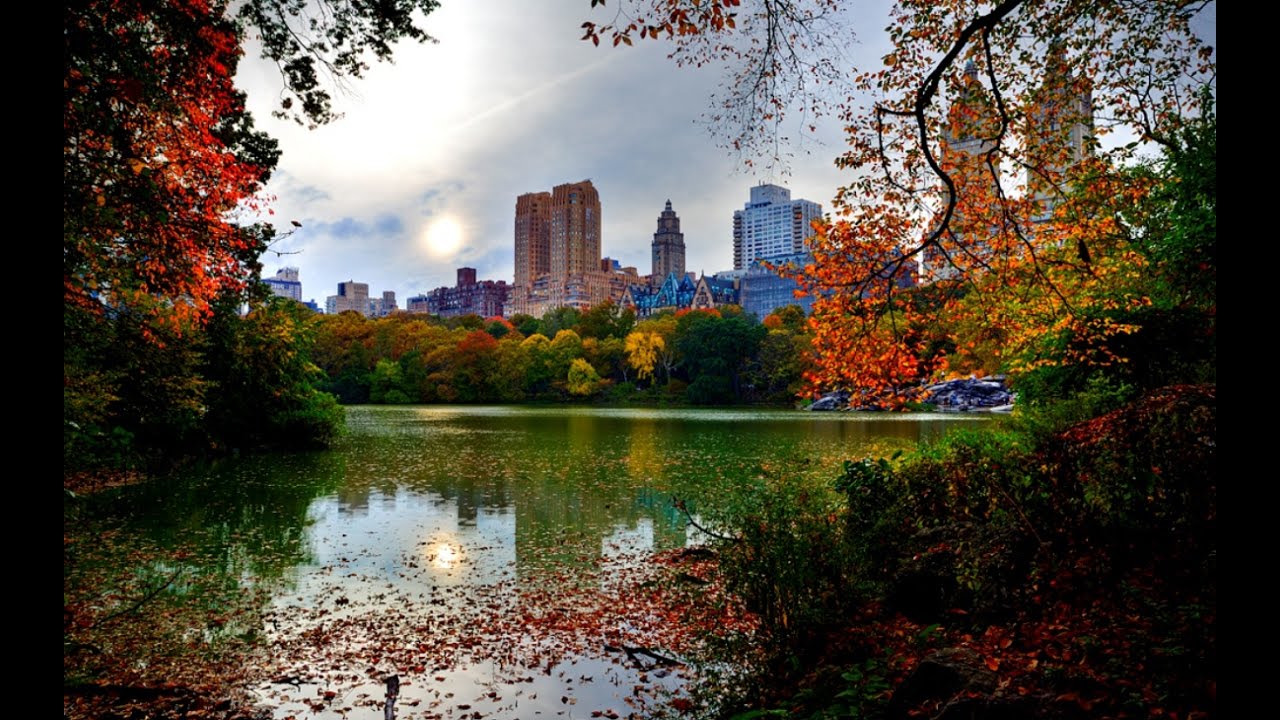 HAP software tutorial in English cooling loads Hourly Analysis Program ...