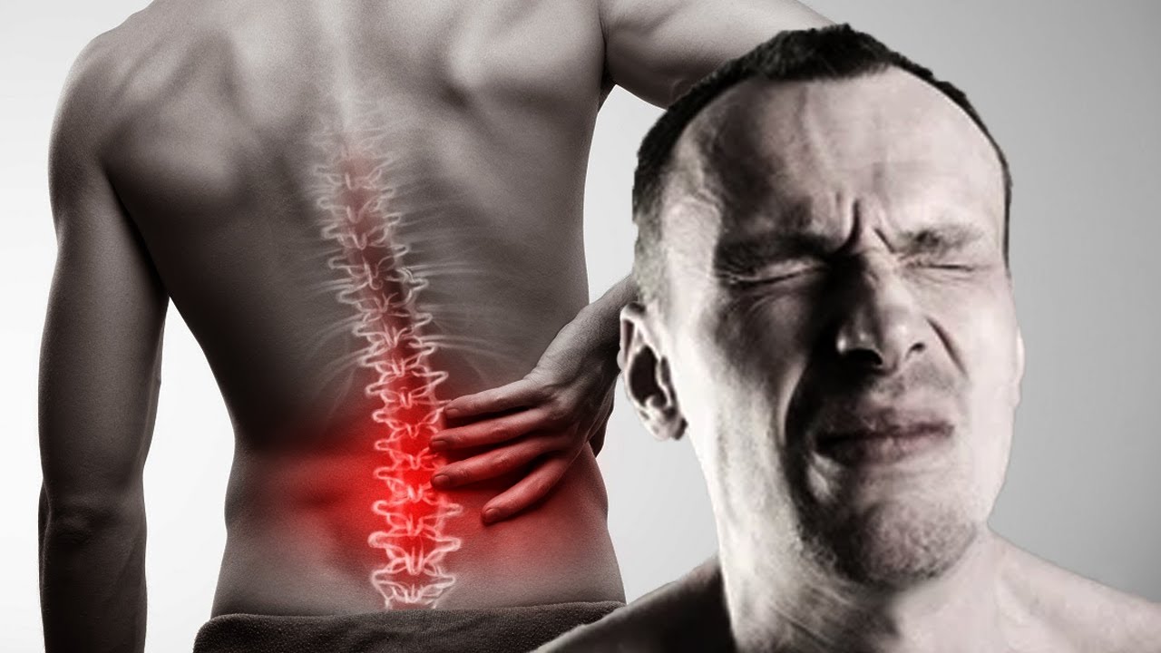 My Back Pain Coach Review (does it really work?) - YouTube