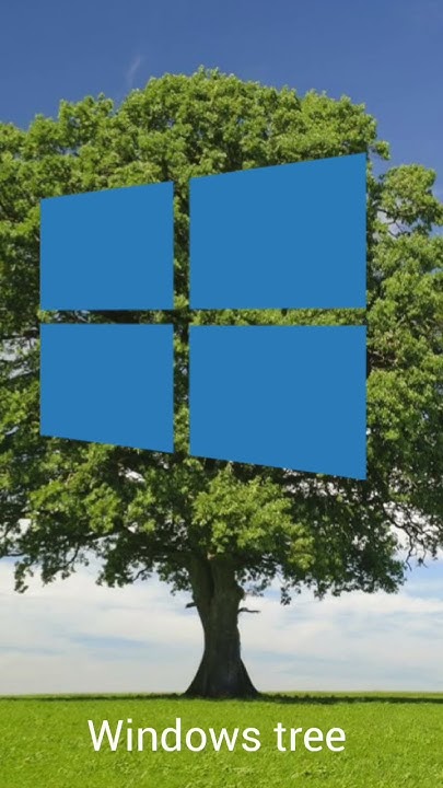 Windows tree - YouTube