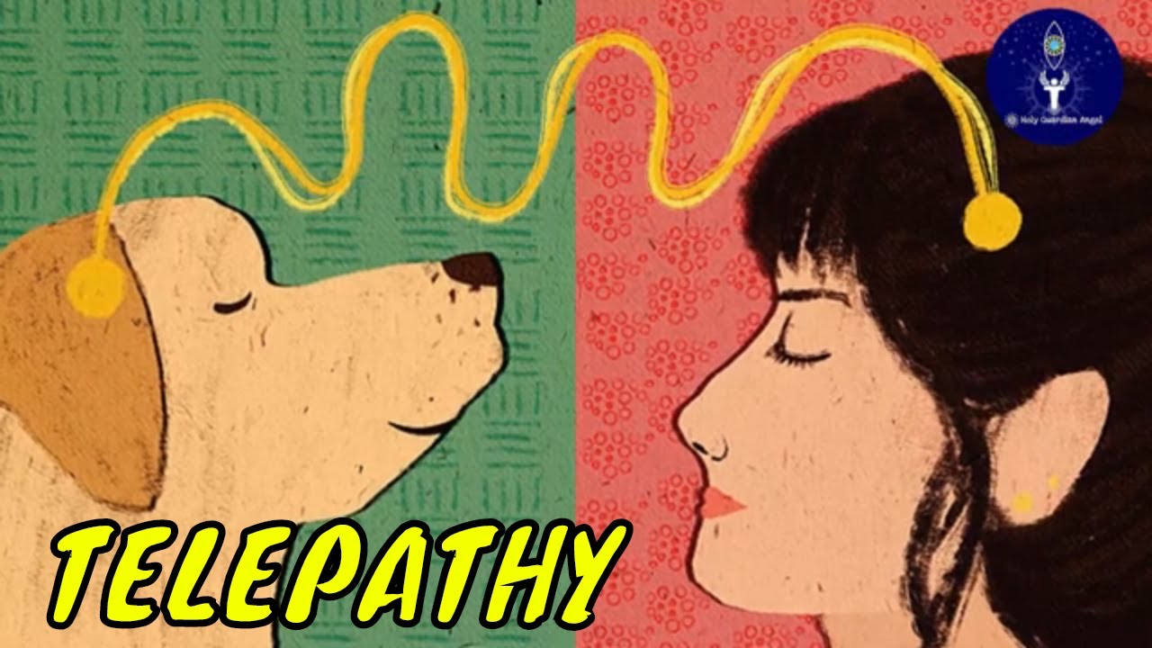 Telepathic Communication with Animals - YouTube