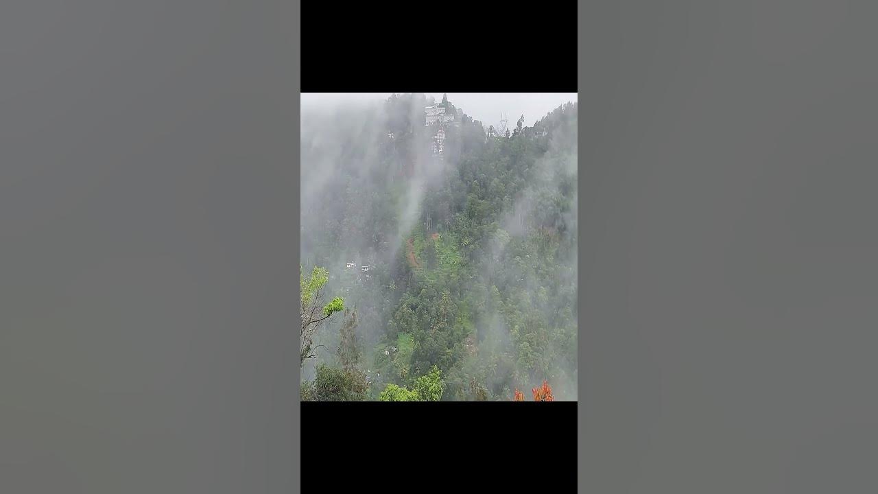 Munnar Mountains View Palmtree Leaf Resort Anachal Munnar munnar-mountains-view-palmtree-leaf-resort-anachal-munnar