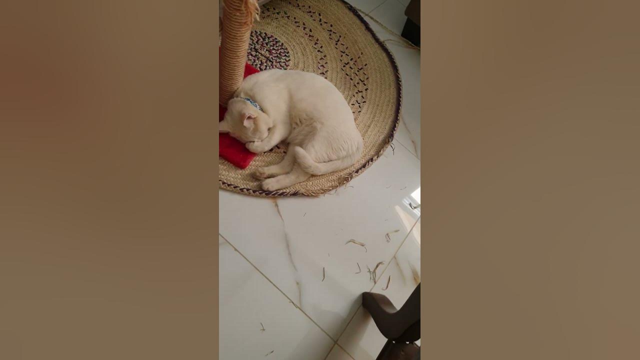 Covering His Eyes While Sleeping YouTube covering-his-eyes-while-sleeping-youtube