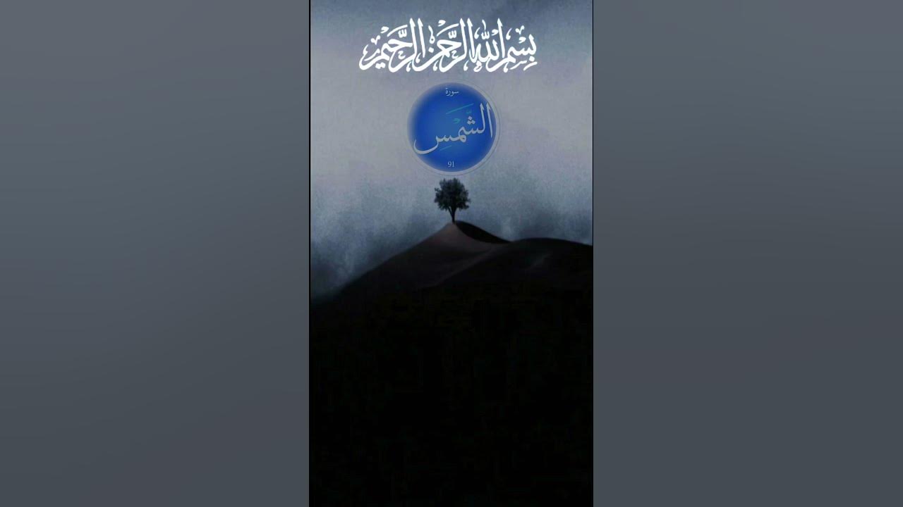 وَالشَّمْسِ وَضُحَاهَا ١۝ سورة الشمس ابو بكر الشاطري تلاوة وقراءة جميلة وخاشعة وهادئه