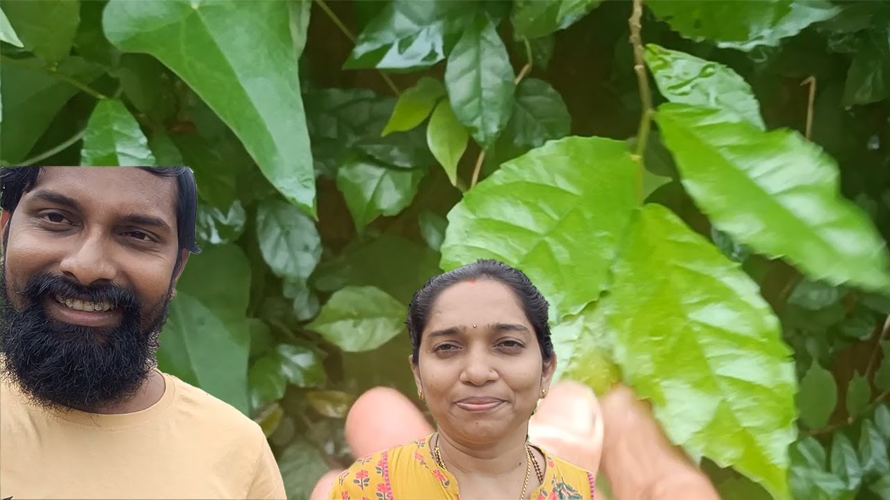 ಉಡುಪಿಗ್‌ ಪೊವೊಂದುಲ್ಲ | Tulu Vlog | Karavali Vlogs - YouTube