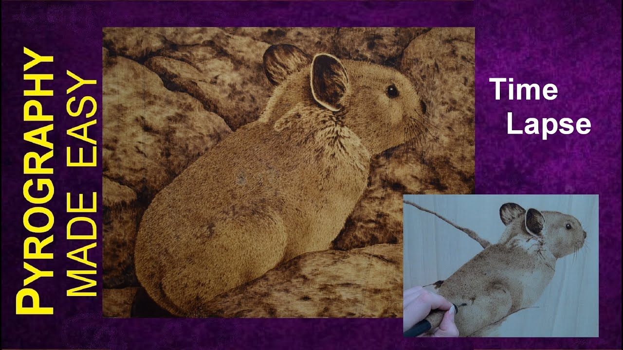 Wood burning art - PIKA - pyrography time lapse art - YouTube