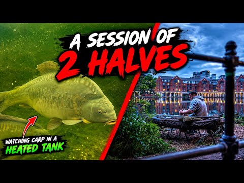 The UK’s most CONTROVERSIAL carp farm to CARDIFF, a hectic NIGHT’s FISHING IN THE CAPITAL 