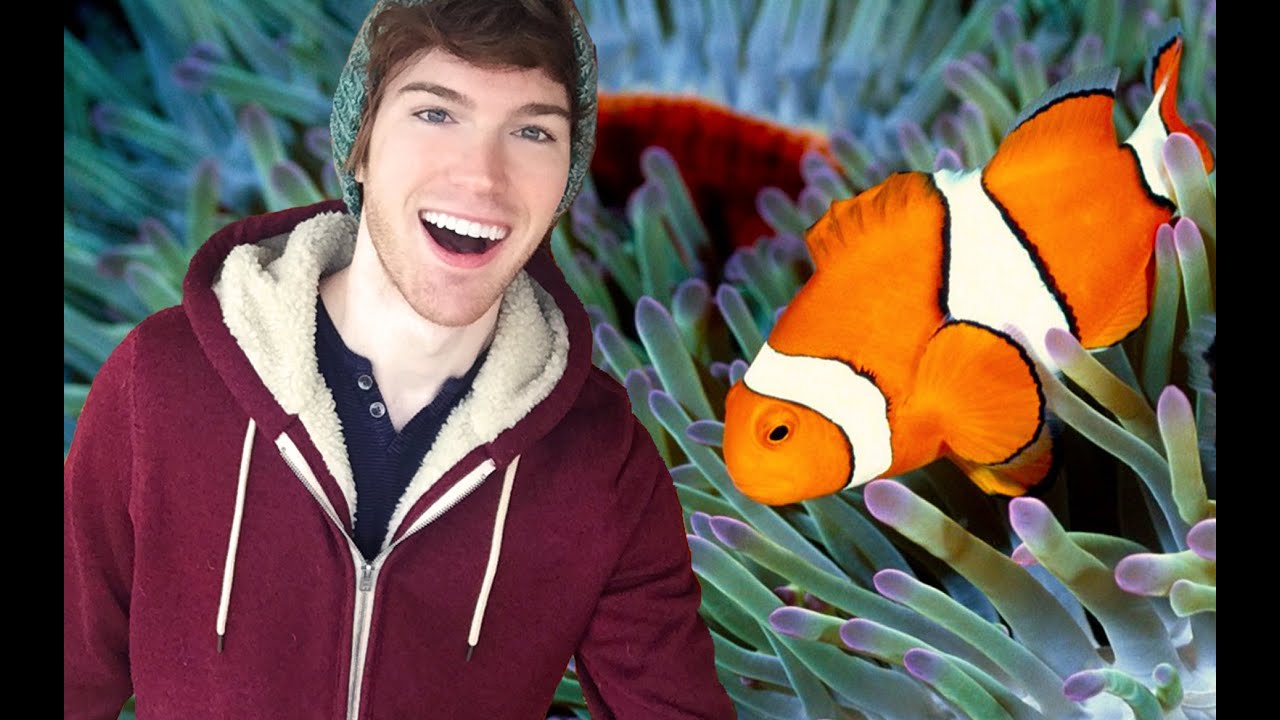 Exploring The World Aquarium! feat. NEMO - YouTube