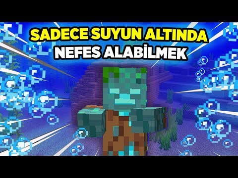 Sadece Su Altında Nefes Alarak Minecraft Bitirmek