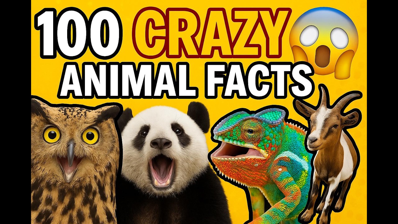 100 Crazy Animals Facts That will Shock You - YouTube