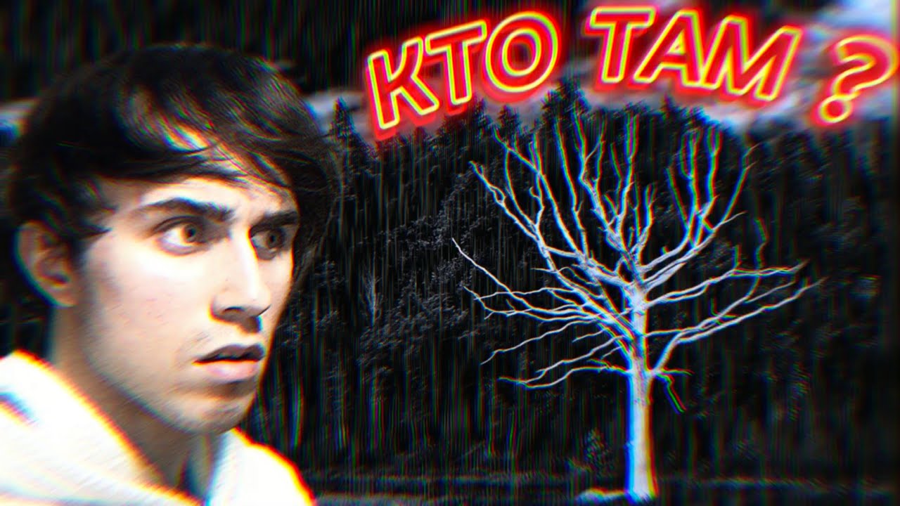 Я Провёл Ночь В Жутком Лесу На Дереве Youtube